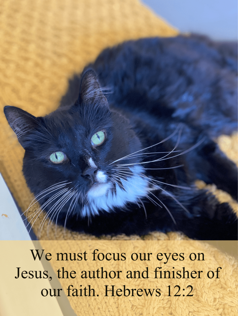 Refocus, Refresh & Realign With Jesus – For His Glory, By His Grace