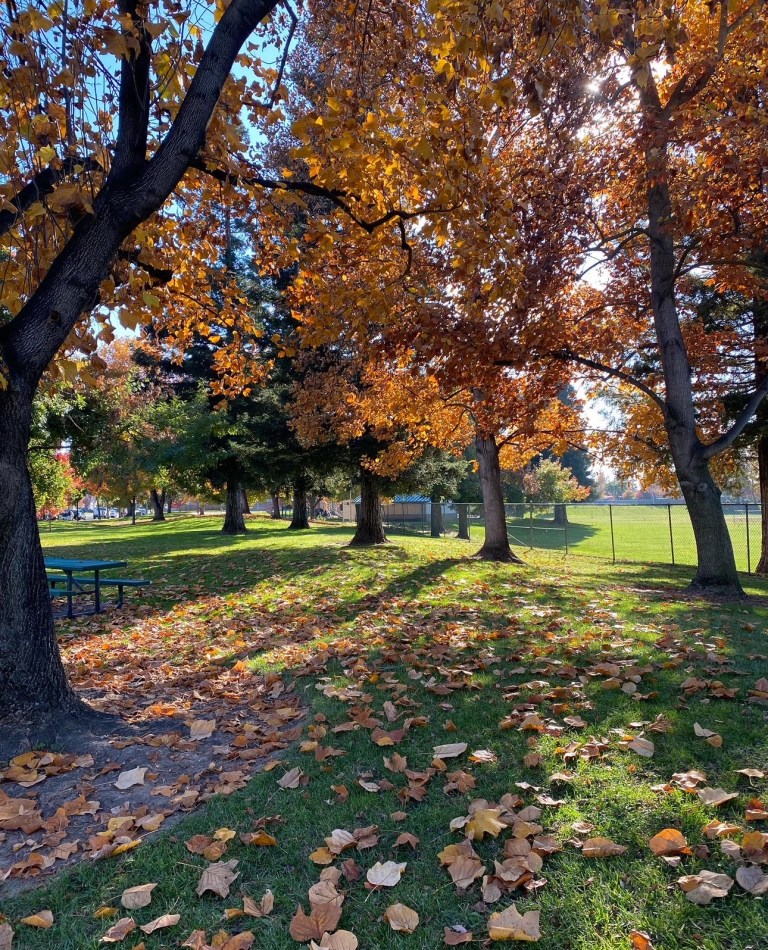 Fall For Jesus; He Never Leaves – For His Glory, By His Grace